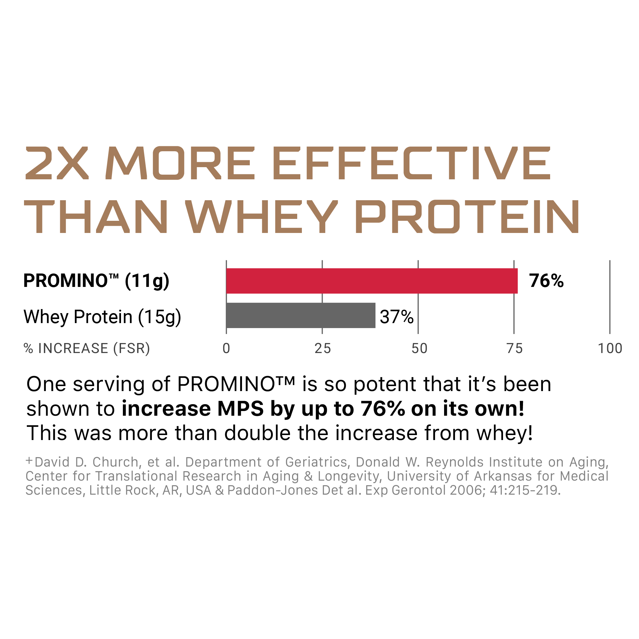 Muscle Protein Synthesis: The Science Behind Muscle Growth | PROMINO ...