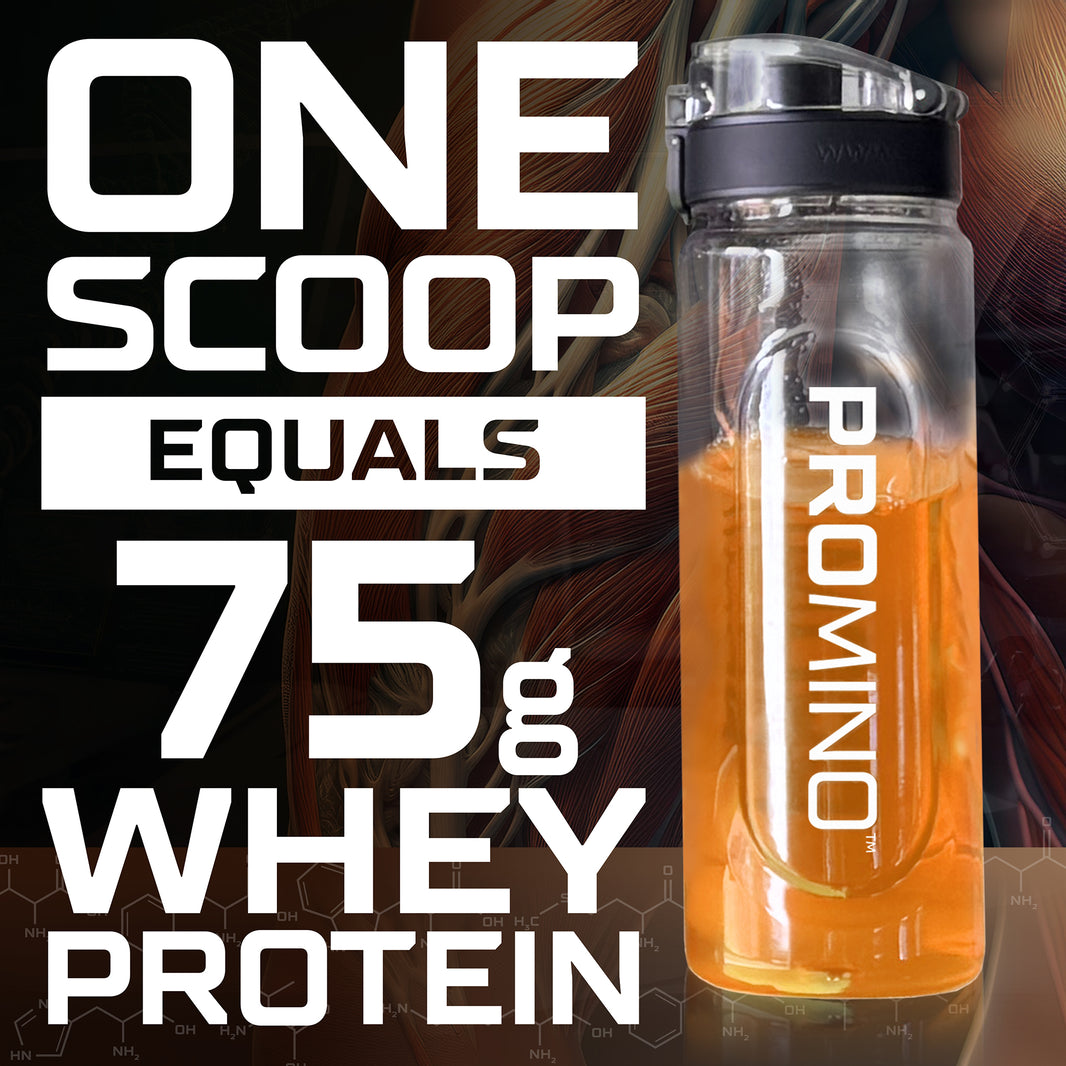Shop All – Promino Protein